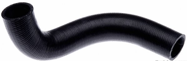 Radiator Hose Lower 05 06 Rad To Thermostat Mustang Centre